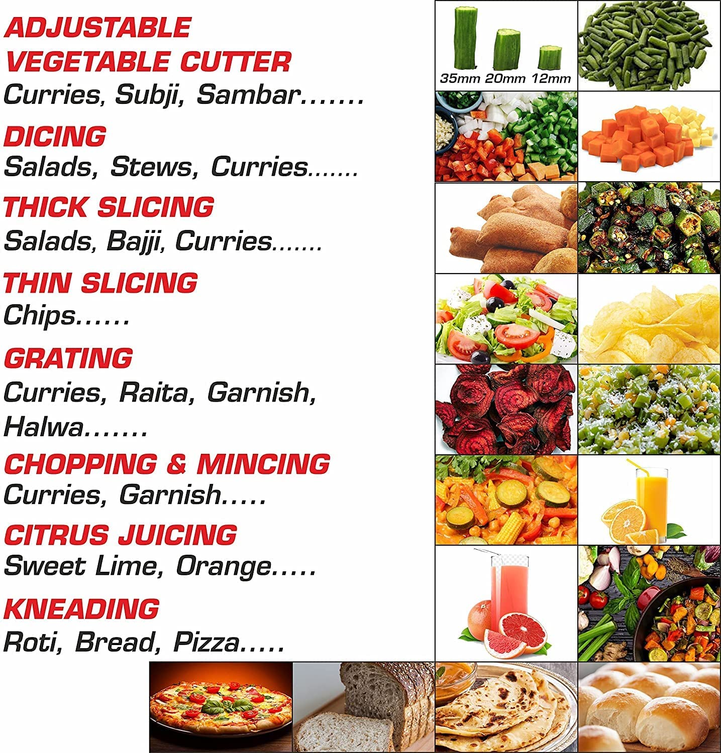 Vidiem Tusker Mixer Grinder 750W with UL Certified motor - 110 V with ...